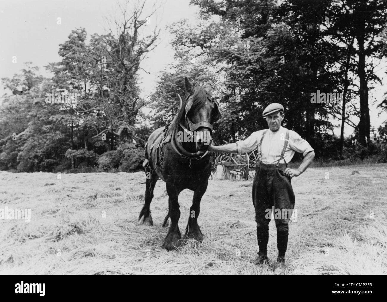 Barnhurst Farm, Pendeford, Early 20th cent. Leo James with a farm horse ...