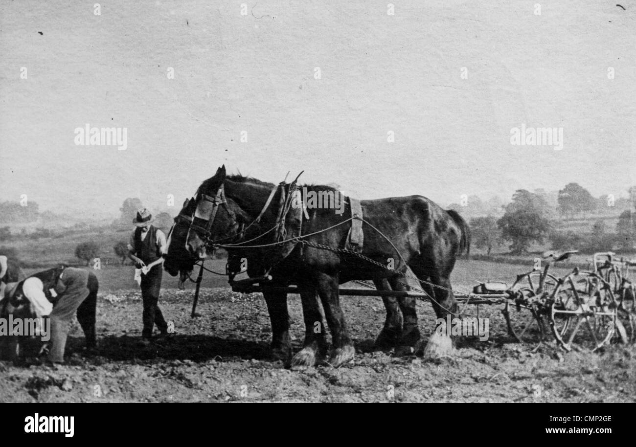 Sowing farmers Black and White Stock Photos & Images - Alamy