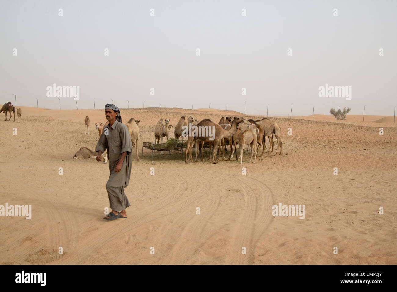 United arab emirates centuries hi-res stock photography and images - Alamy