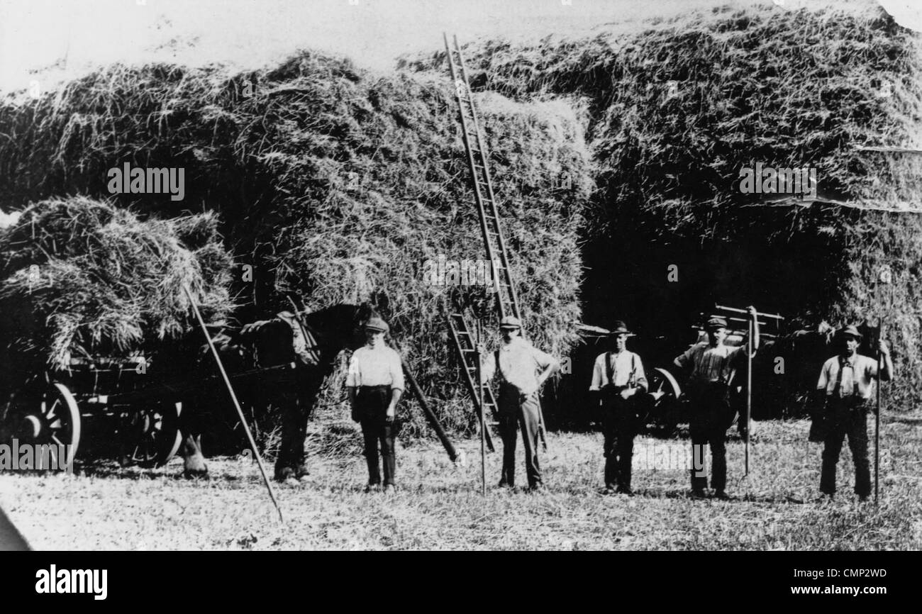 Mount Farm, Penn, 1930s. Farm hands making hay on the farm in the 1930s ...