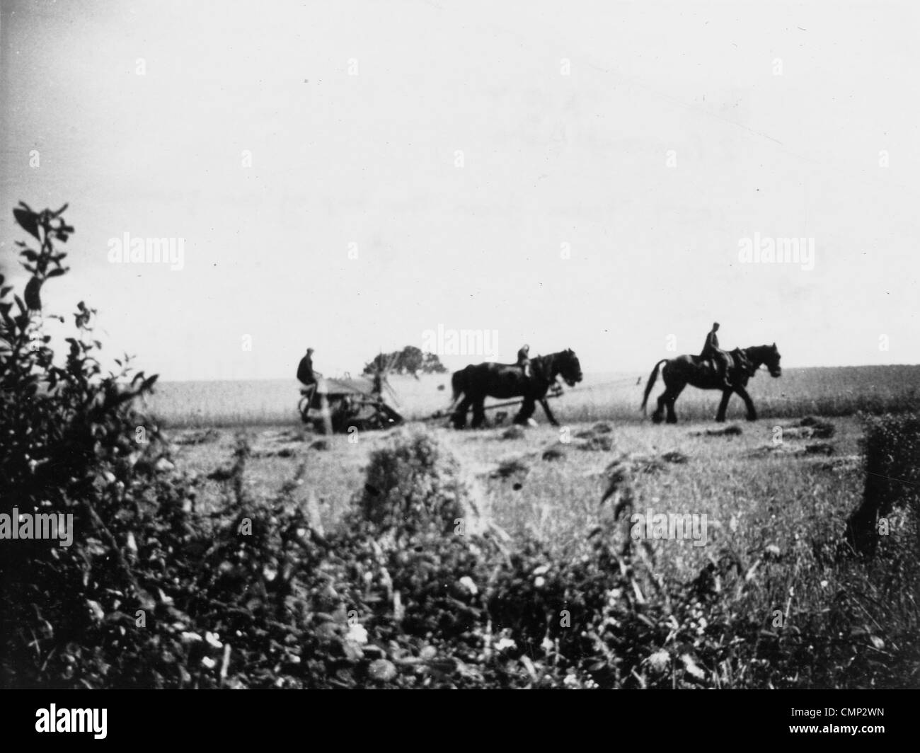 1937 farm hi-res stock photography and images - Alamy