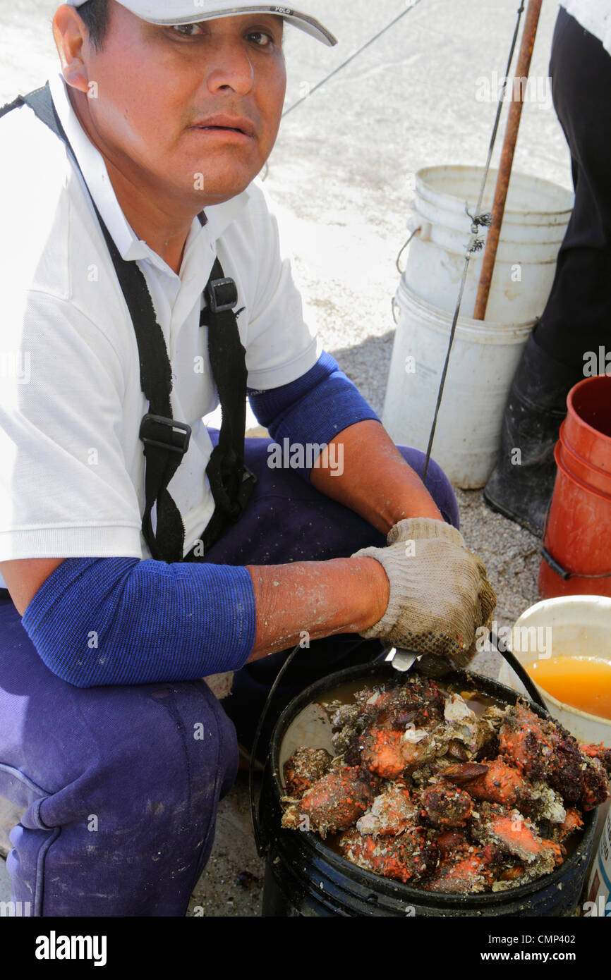 Arica Chile,Pacific Ocean,water,littoral,seashore,artisan fishing ...
