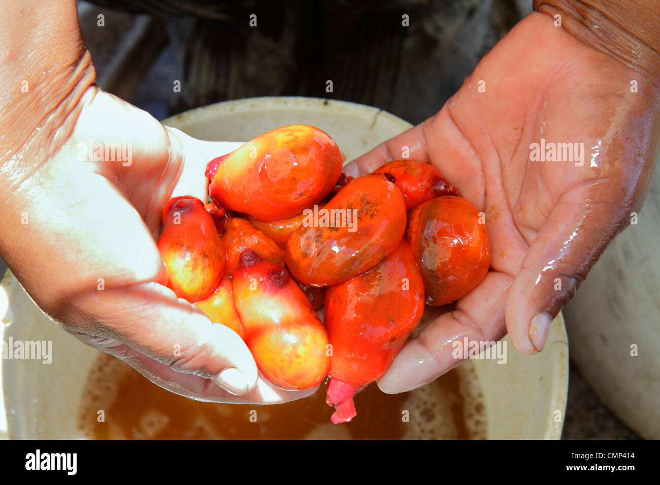 Arica Chile,Pacific Ocean,water,littoral,seashore,artisan fishing ...