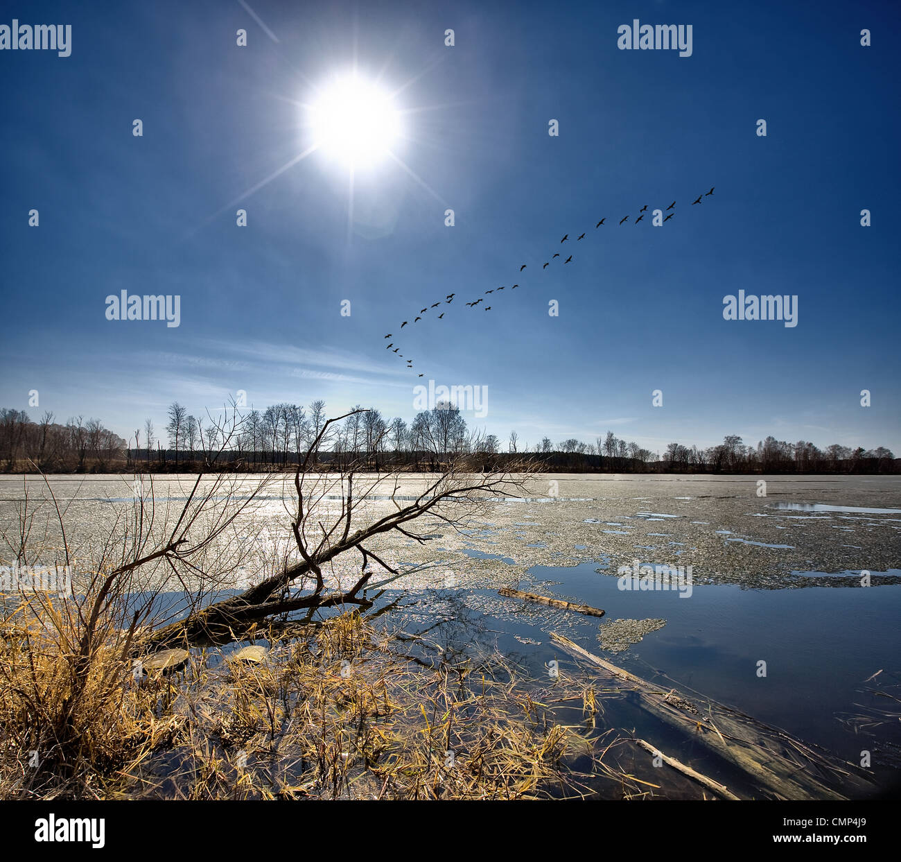 Last spring days hi-res stock photography and images - Alamy