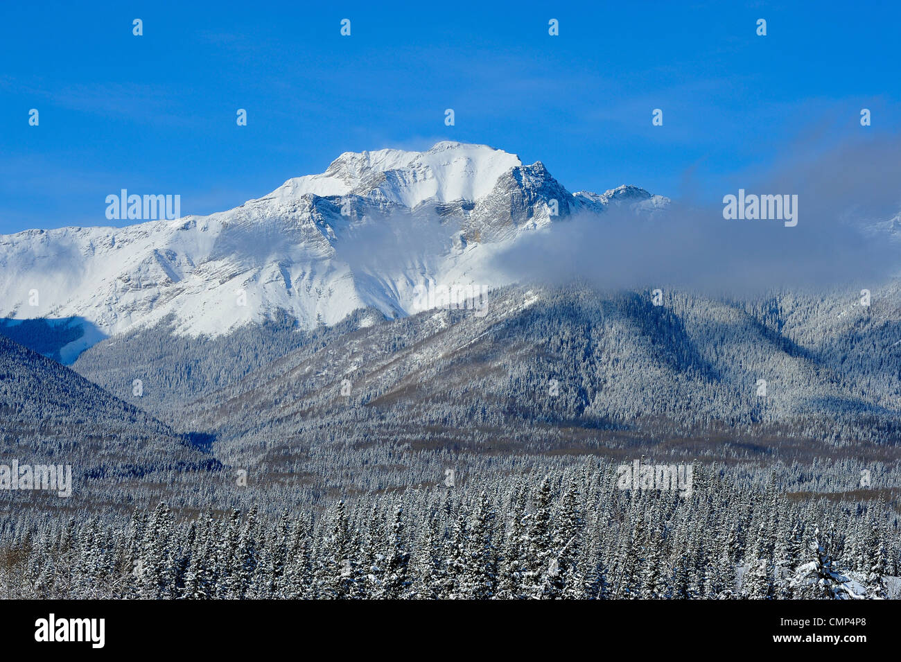 The snow-capped rocky mountains looking west from Brule Alberta Stock ...