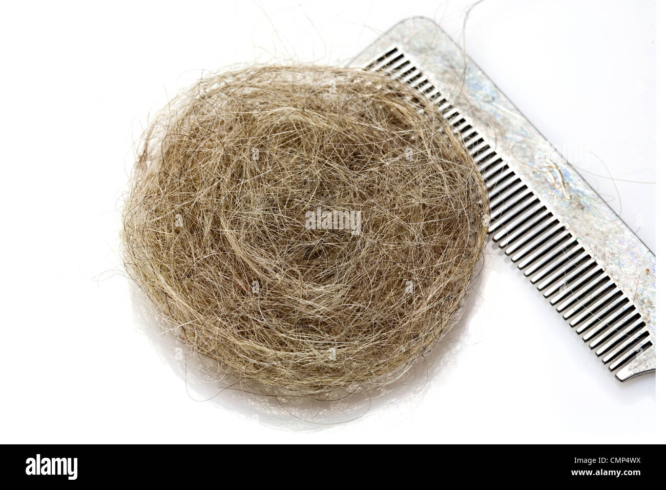 Matted hair hi-res stock photography and images - Alamy