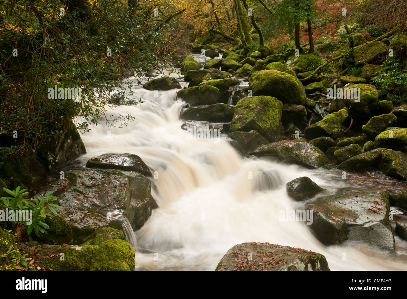 River Plym flowing over rocks near Shaugh Bridge, Dartmoor, Devon UK ...