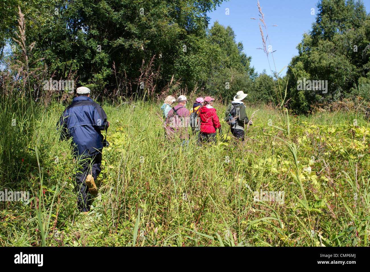 The historic town site of Susitna, Alaska, USA was located here in the ...