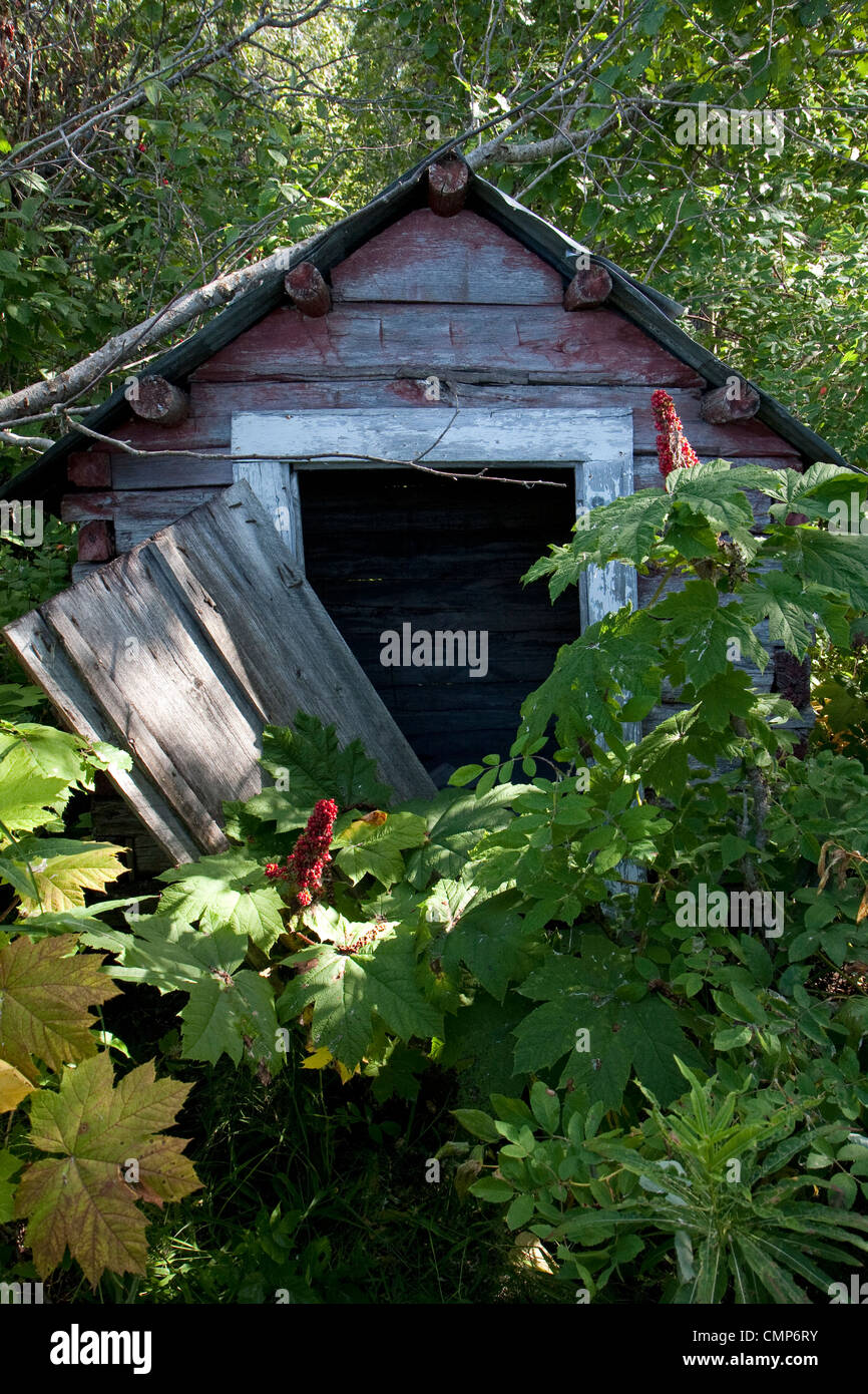 Red devil alaska hi-res stock photography and images - Alamy