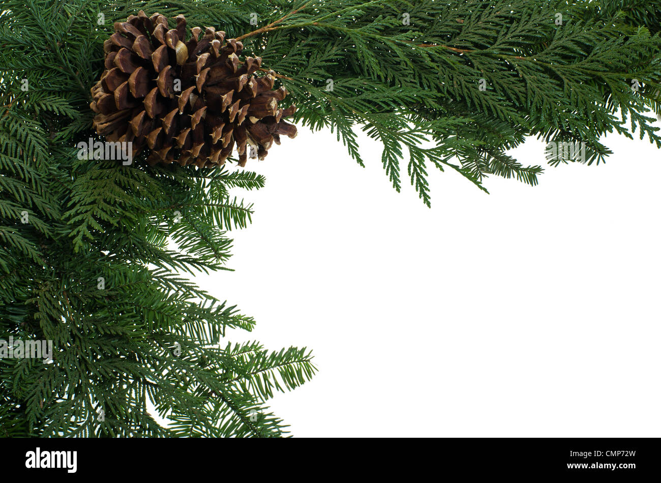Pine Boughs High Resolution Stock Photography and Images - Alamy