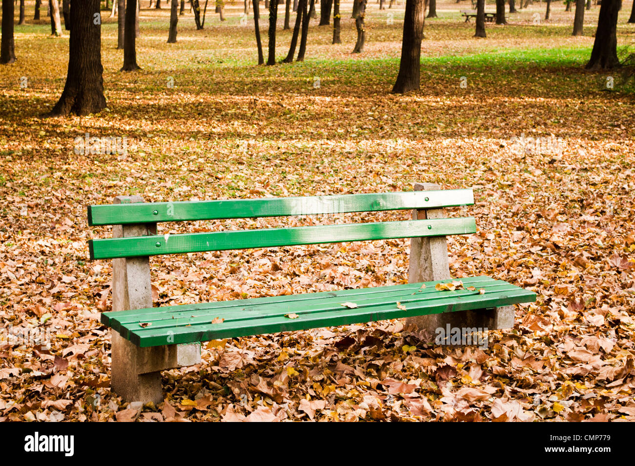City park bench in autumn forest Stock Photo - Alamy