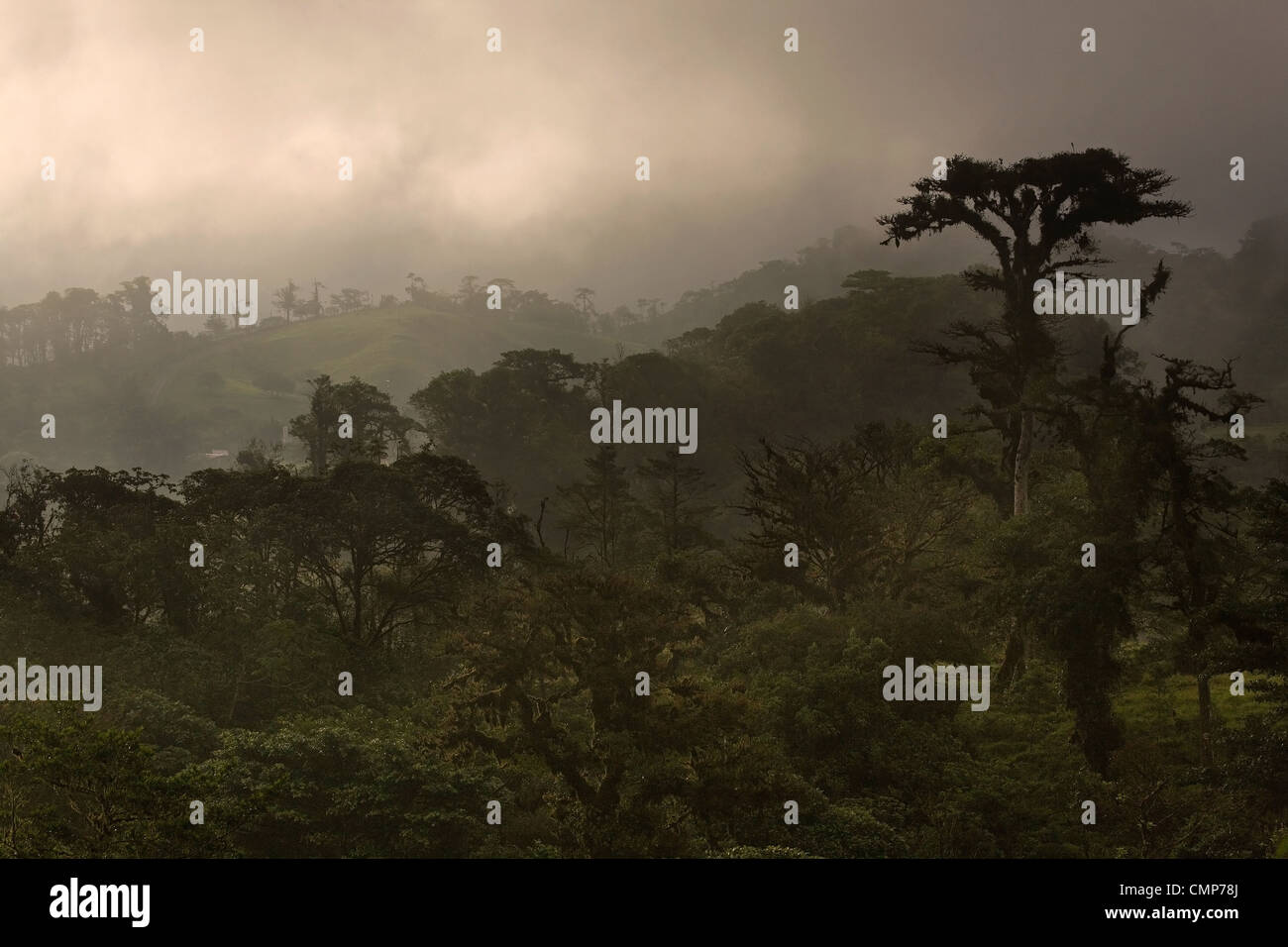 Sunrise tropical rain forest hi-res stock photography and images - Alamy