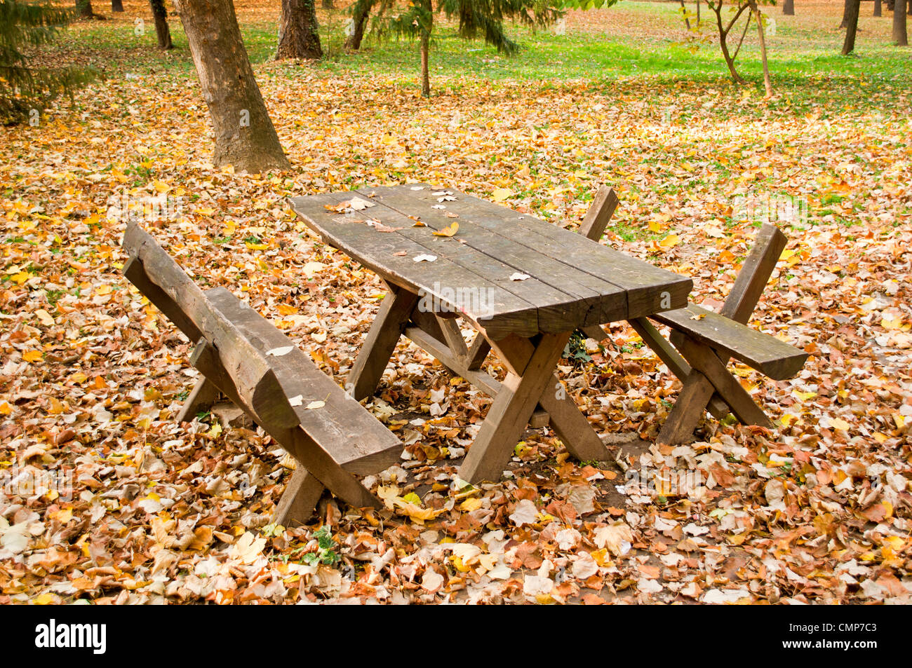 Wooden picnic table and bench in autumn forest Stock Photo - Alamy