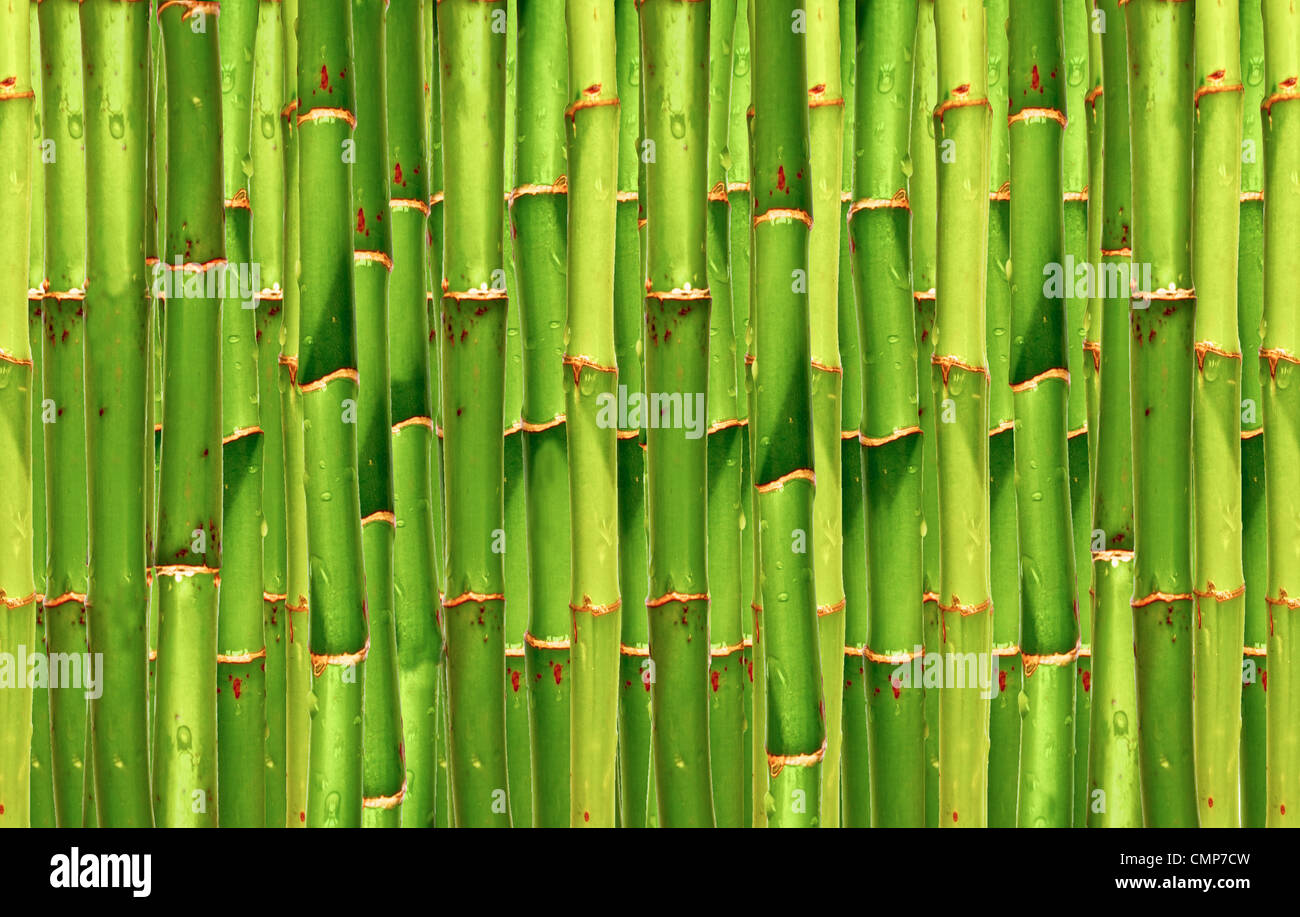 Bamboo background Stock Photo - Alamy