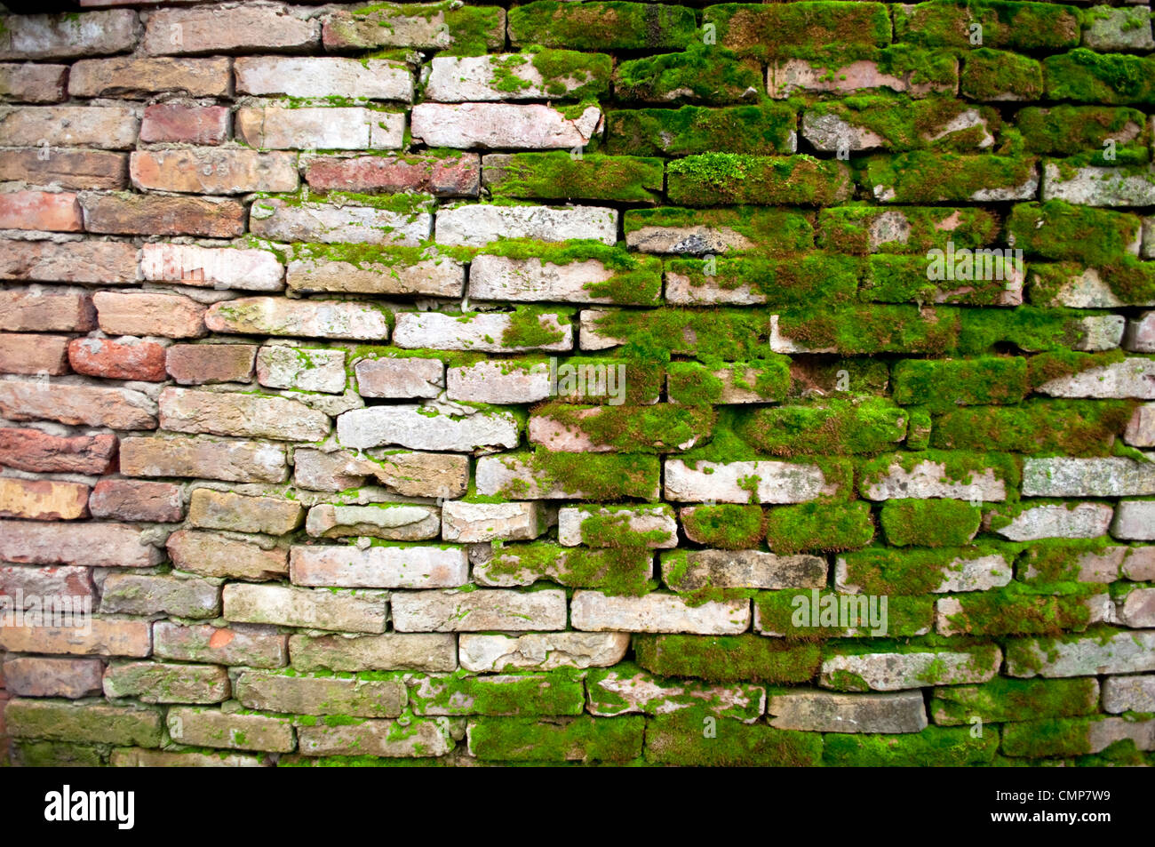Brick wall with moss Stock Photo - Alamy
