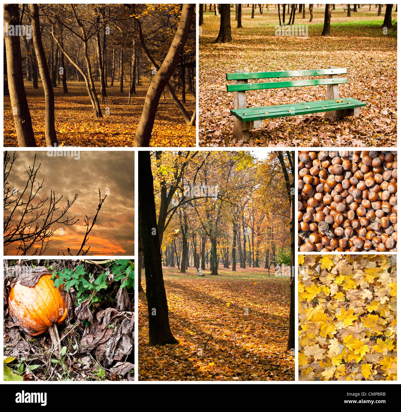 Autumn collage - Collection of autumn photos Stock Photo - Alamy