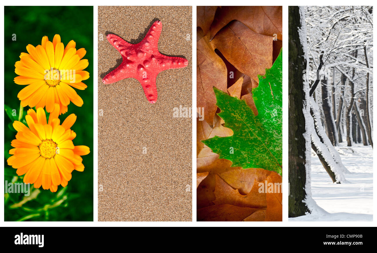 Four seasons collage Stock Photo - Alamy