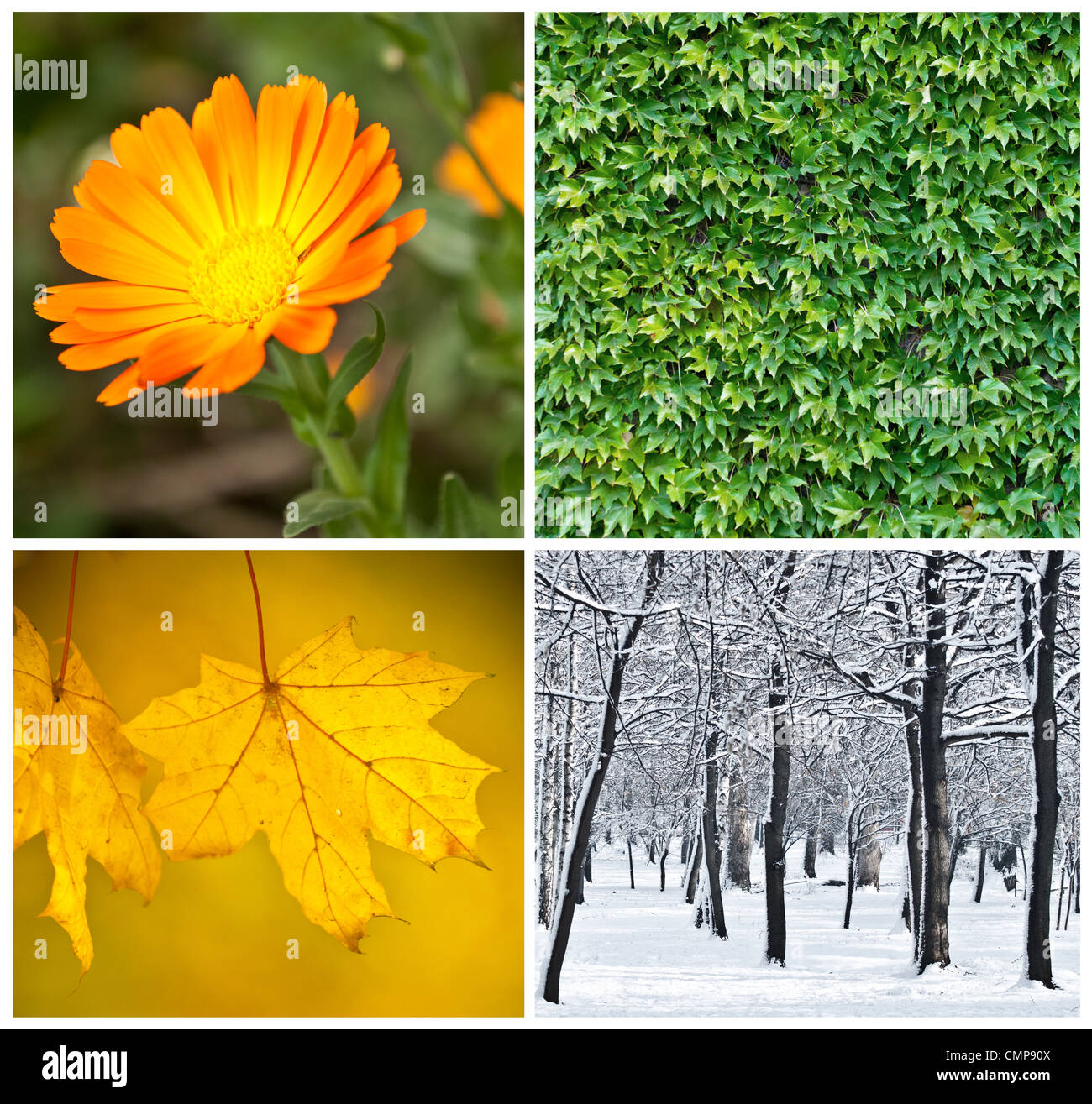 Four season conceptual collage Stock Photo - Alamy
