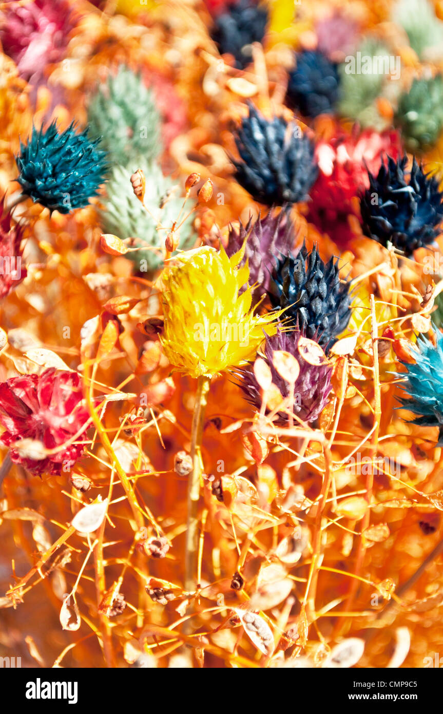 dried flowers background Stock Photo - Alamy