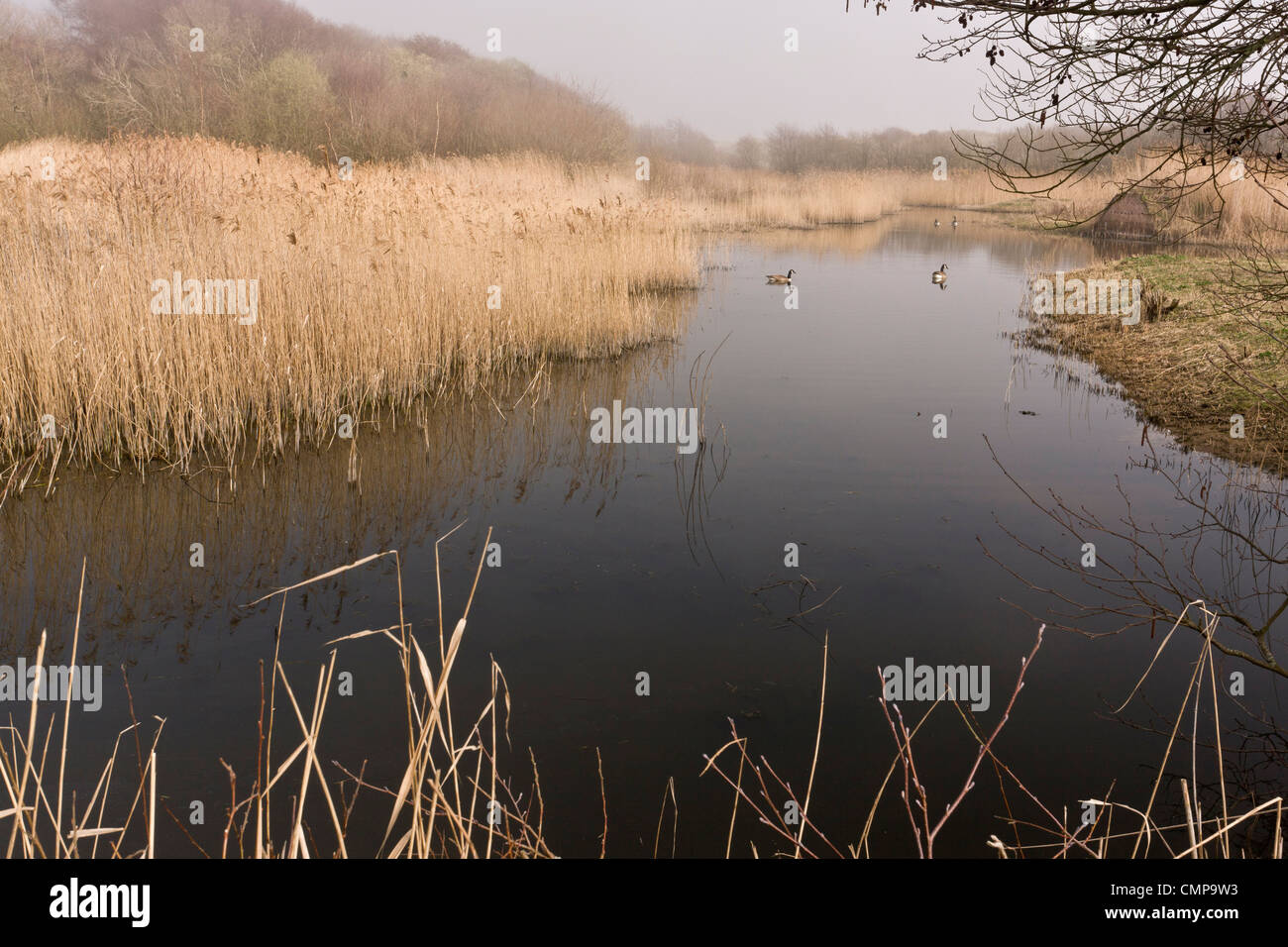 Dawlish Warren, Devon Stock Photo - Alamy