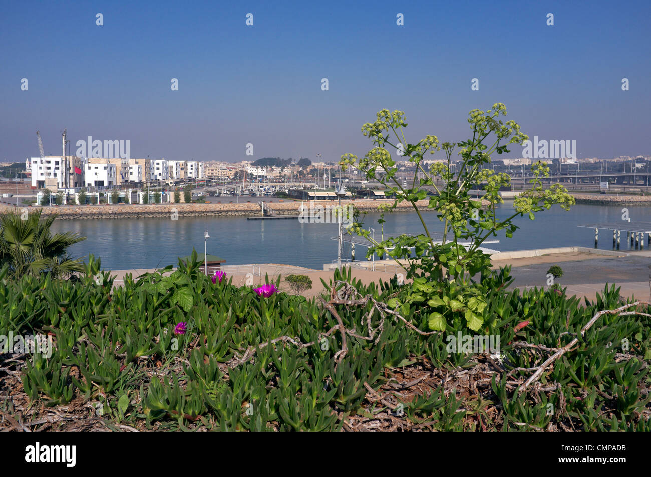 Looking up the Bou Regreg river from Rabat towards Salé with the new ...