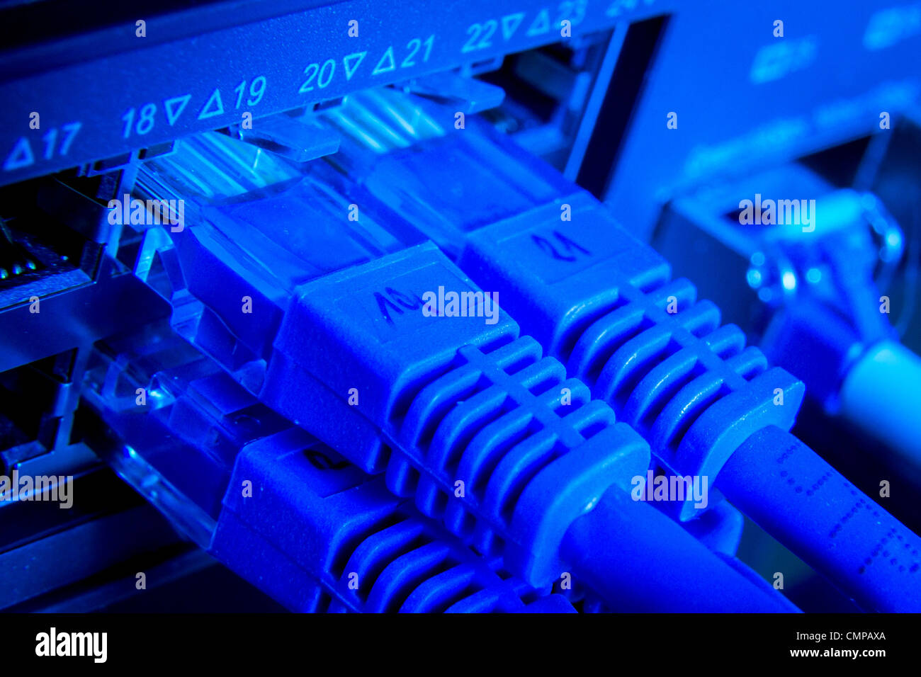 network cables connected to hub Stock Photo - Alamy