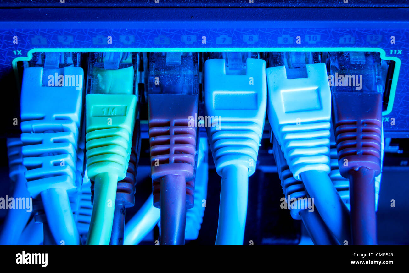 close up of network cables connected to switch Stock Photo - Alamy