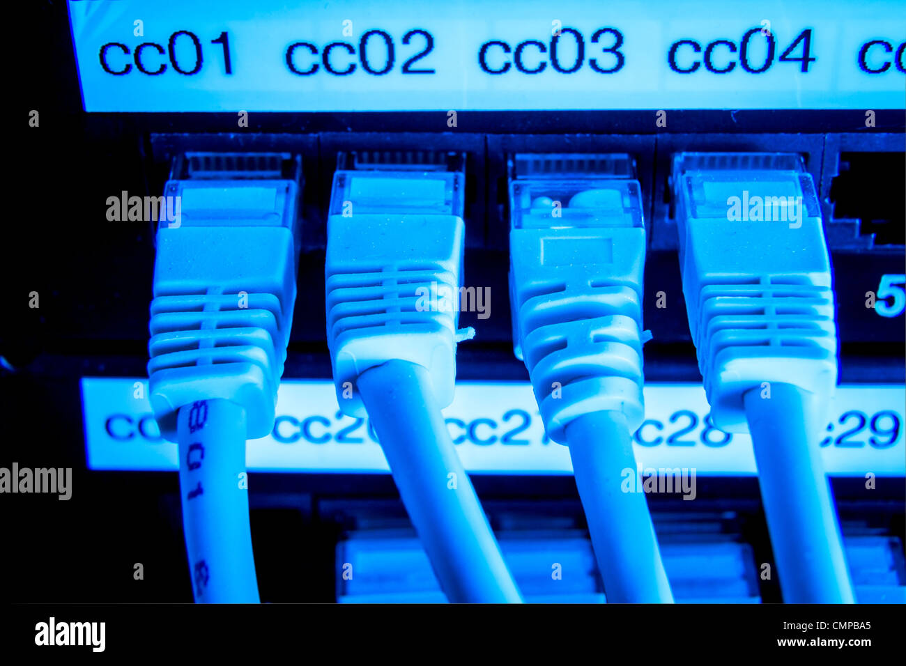 close up of network cables connected to switch Stock Photo - Alamy