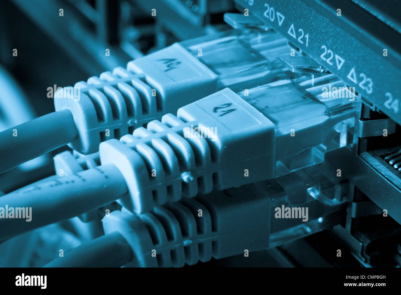 network cables connected to hub Stock Photo - Alamy
