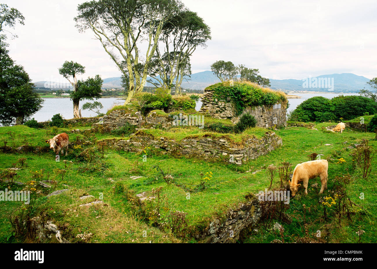 Beara peninsula ireland hi-res stock photography and images - Alamy