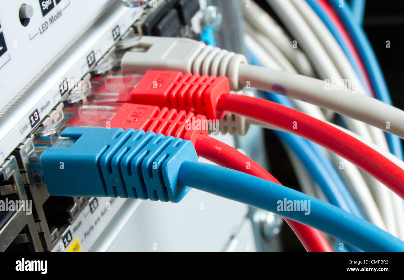 close up of network cables connected to switch Stock Photo - Alamy