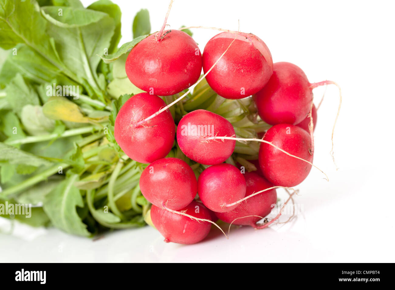 Radish with leaf of a white background Stock Photo - Alamy