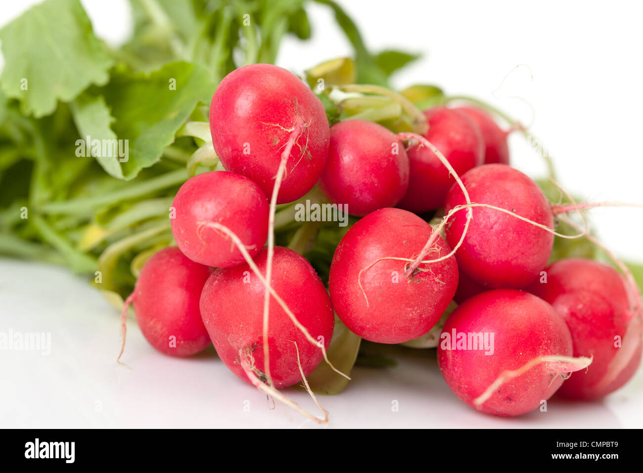 Radish with leaf of a white background Stock Photo - Alamy