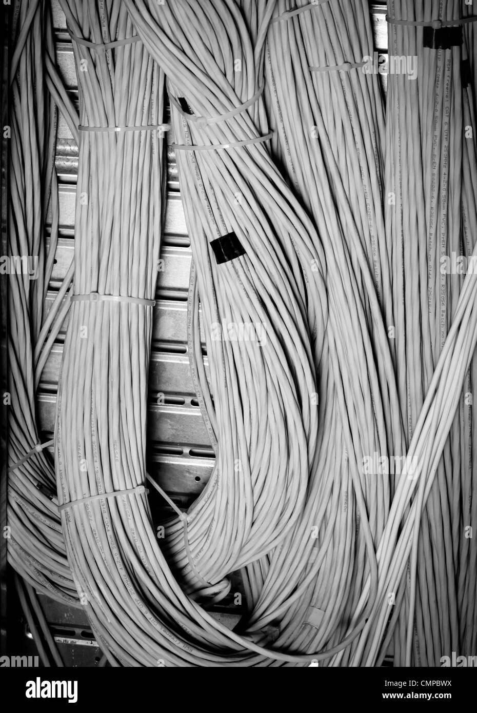 close up of network cables Stock Photo - Alamy