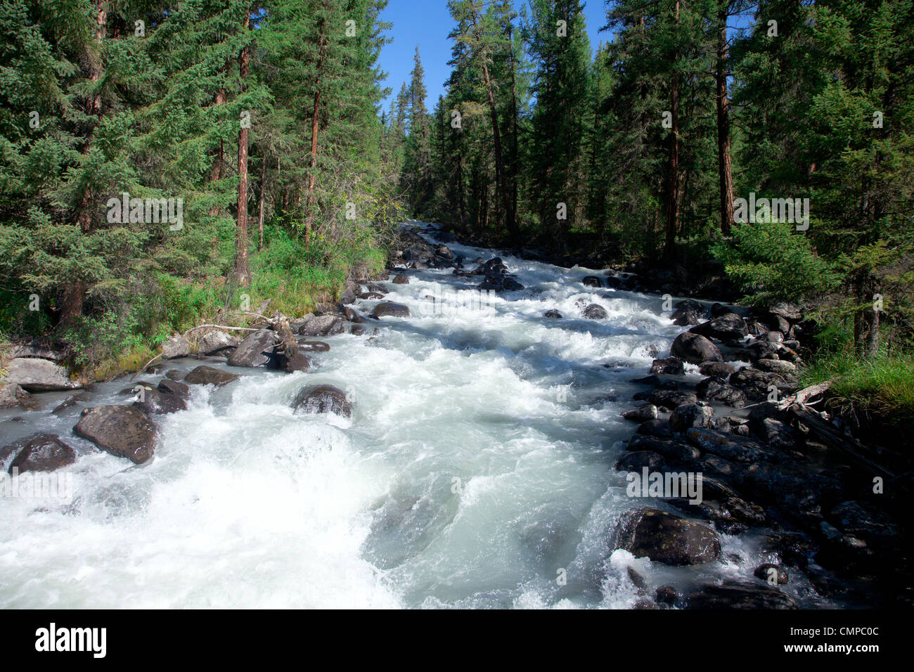 rushing blue river in a mountain forest Stock Photo - Alamy