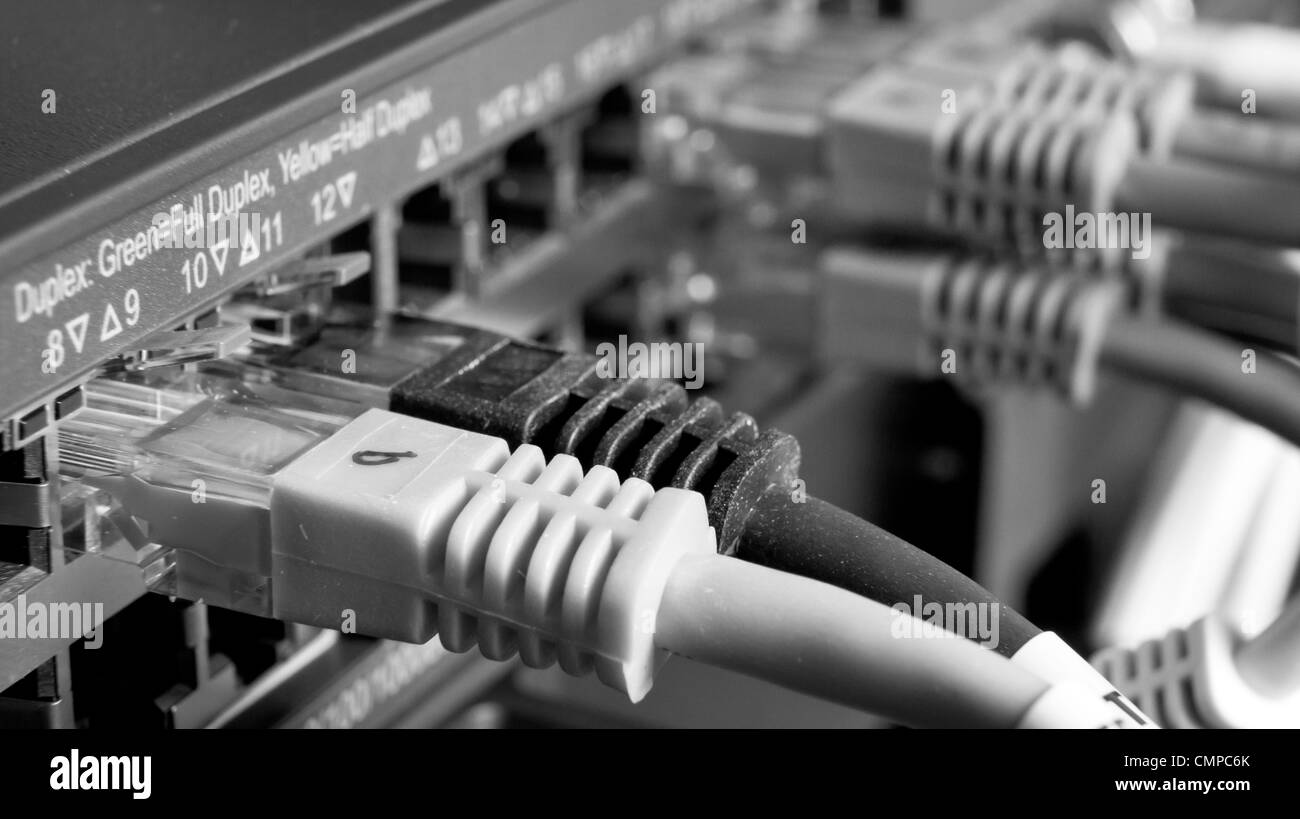 network cables connected to hub Stock Photo - Alamy