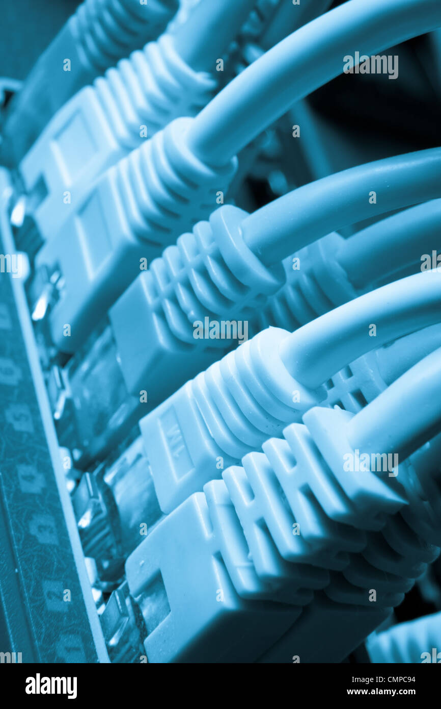 close up of network cables connected to switch Stock Photo - Alamy