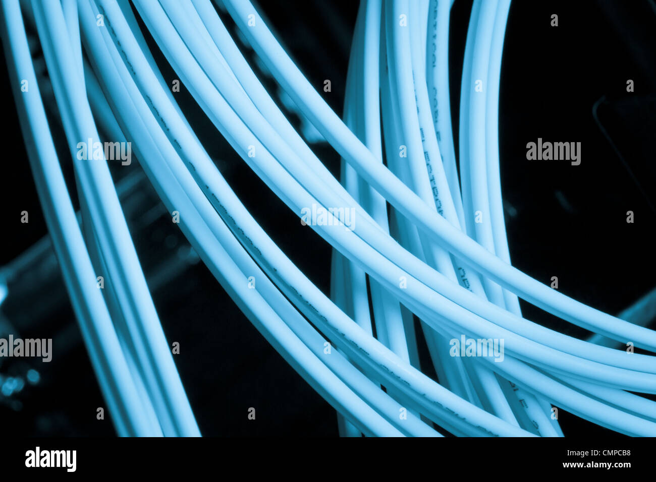 close up of network cables Stock Photo - Alamy