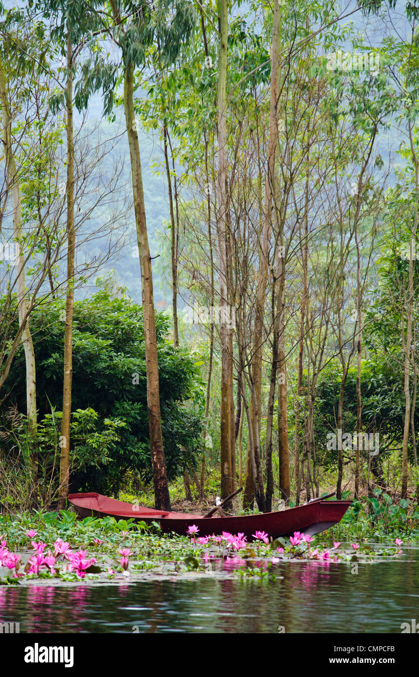 Vietnam vietnam rowboat flower trees hi-res stock photography and ...