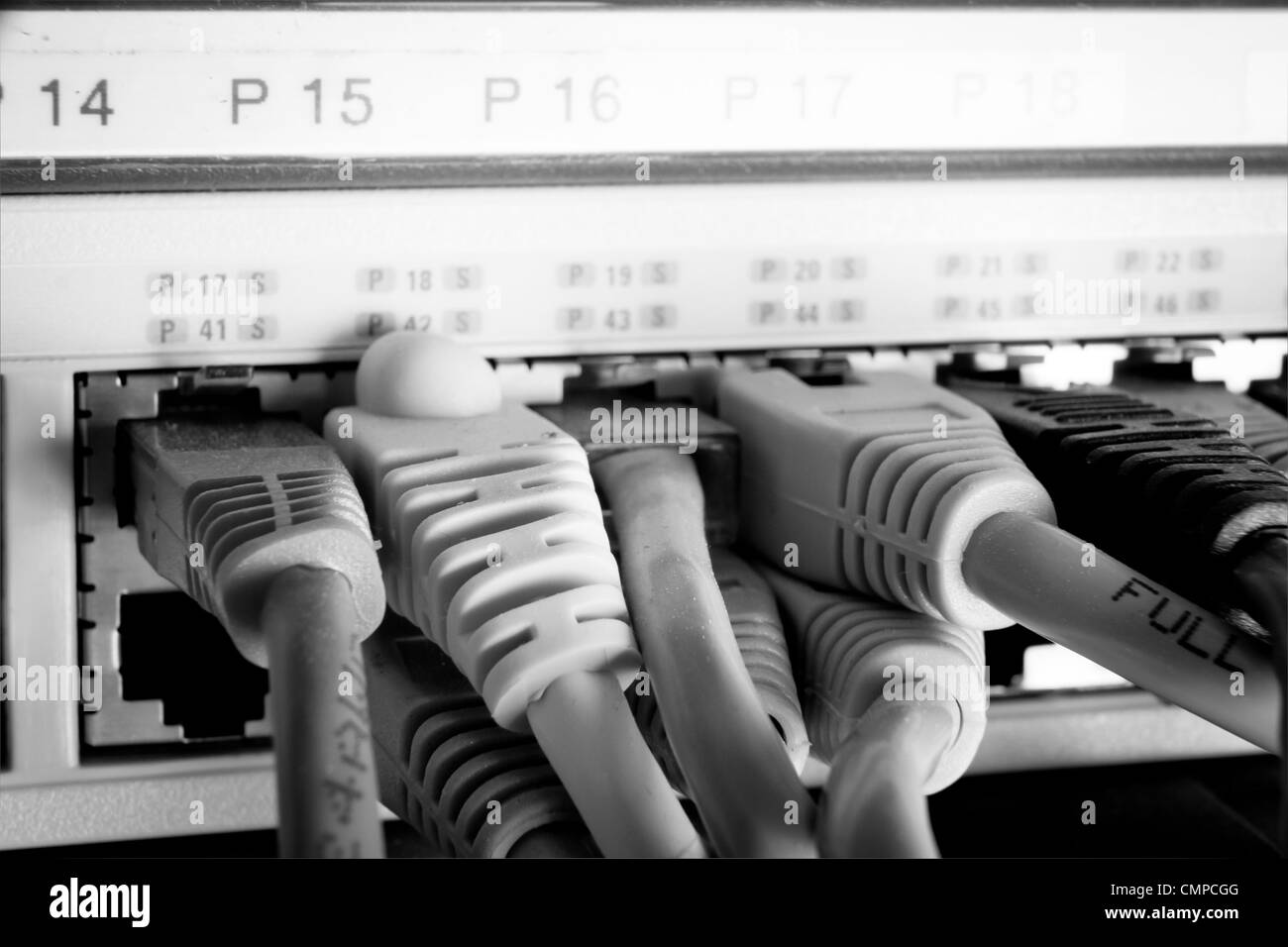 close up of network cables connected to switch Stock Photo - Alamy