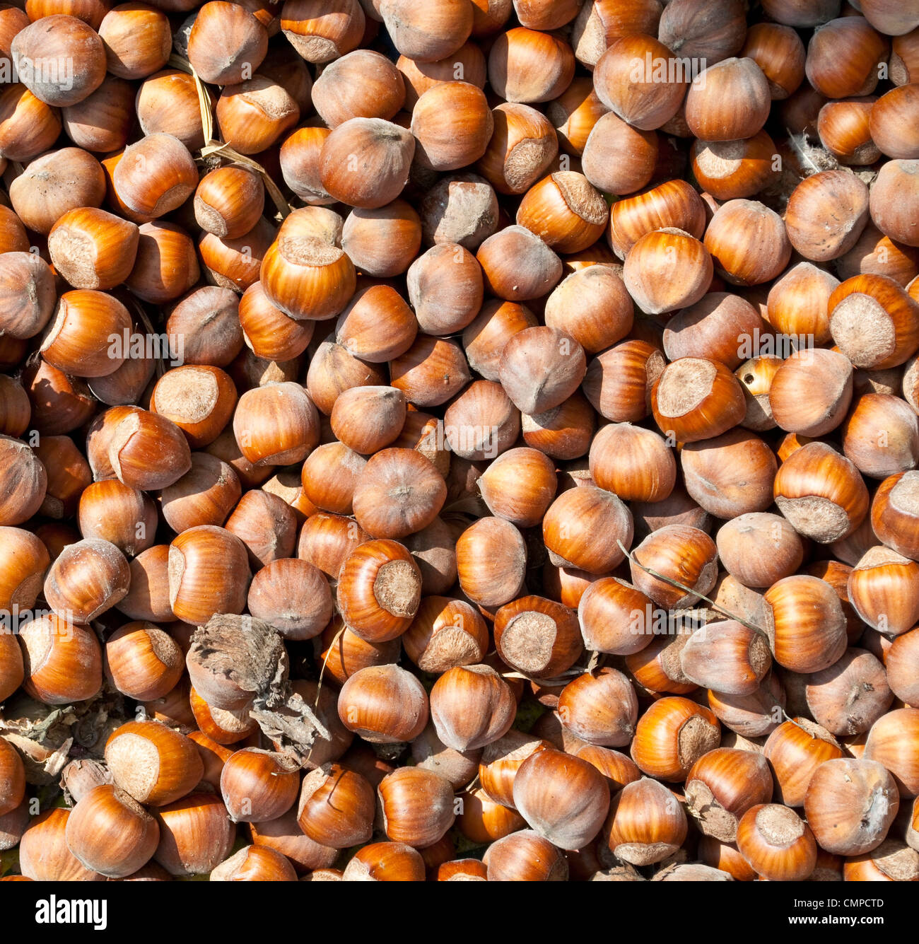 Nuts Background Stock Photo - Alamy