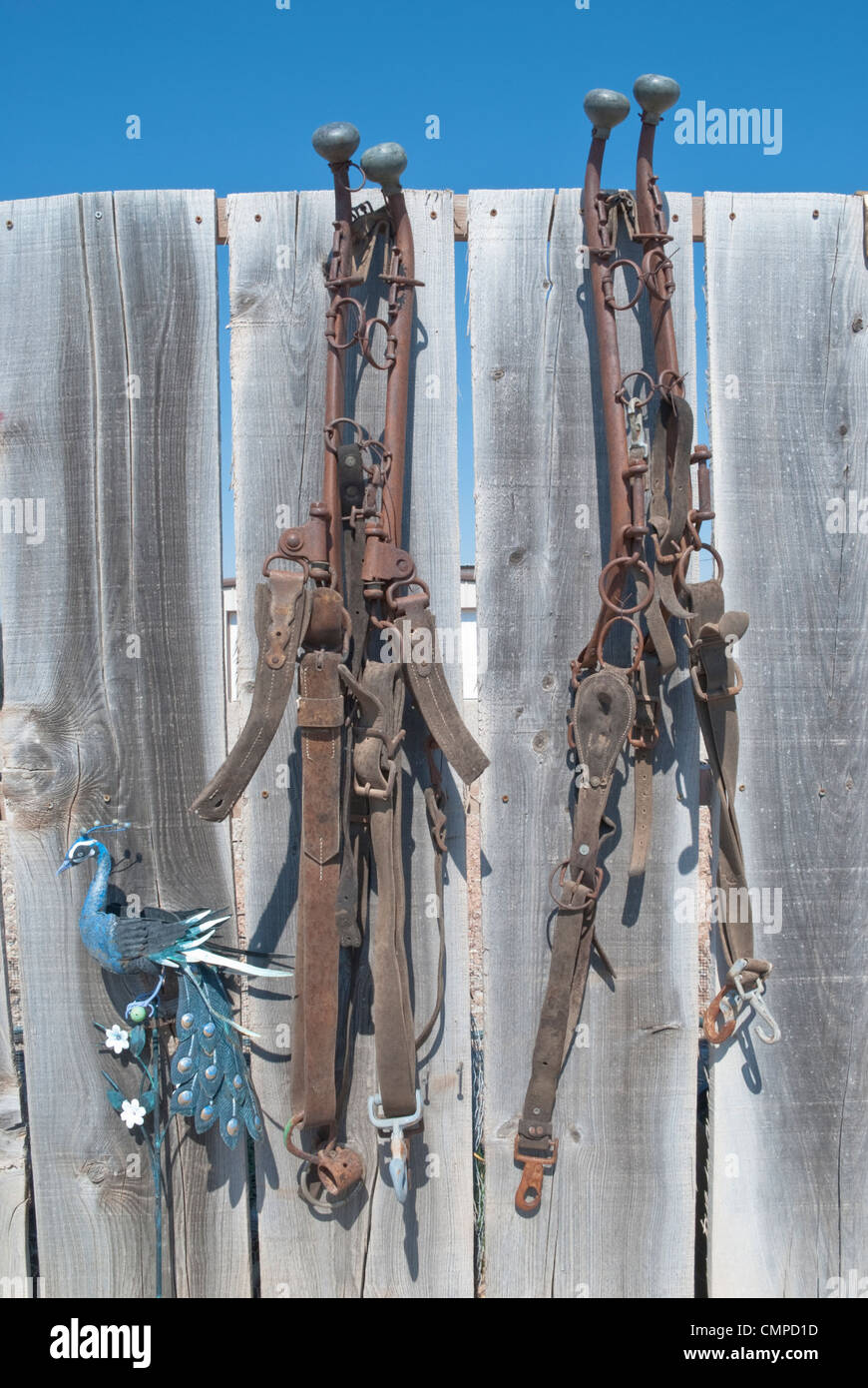 Interesting objects hi-res stock photography and images - Alamy