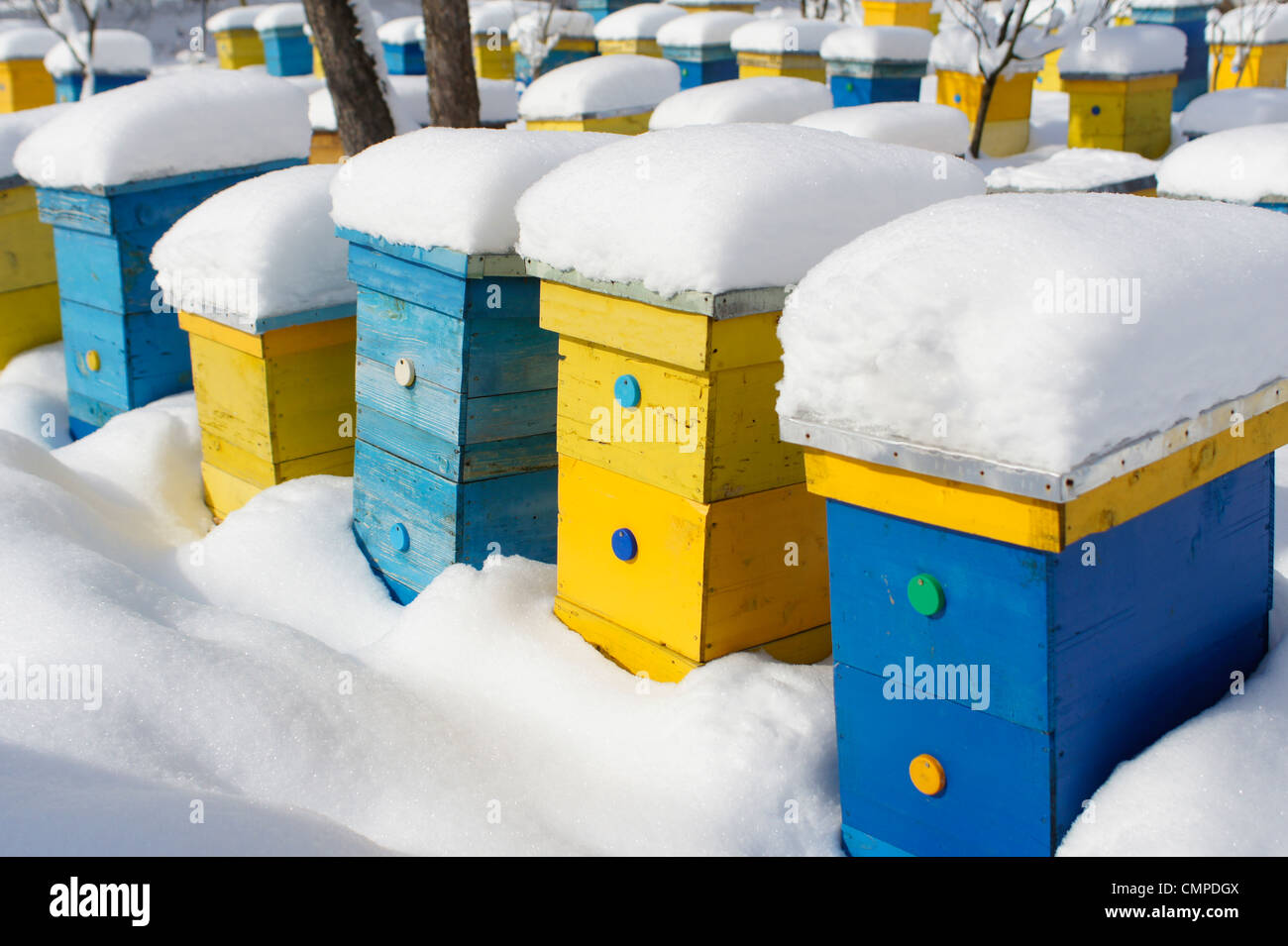 Colourful beehive hi-res stock photography and images - Alamy
