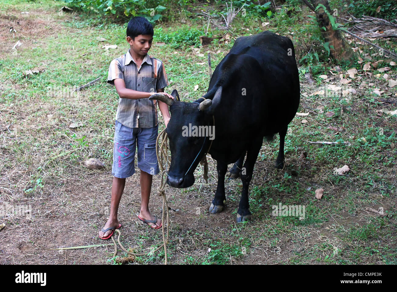 Developing urban farming hi-res stock photography and images - Alamy