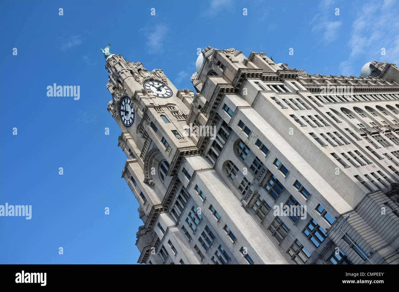 Liver Bird Liver Building High Resolution Stock Photography and Images ...