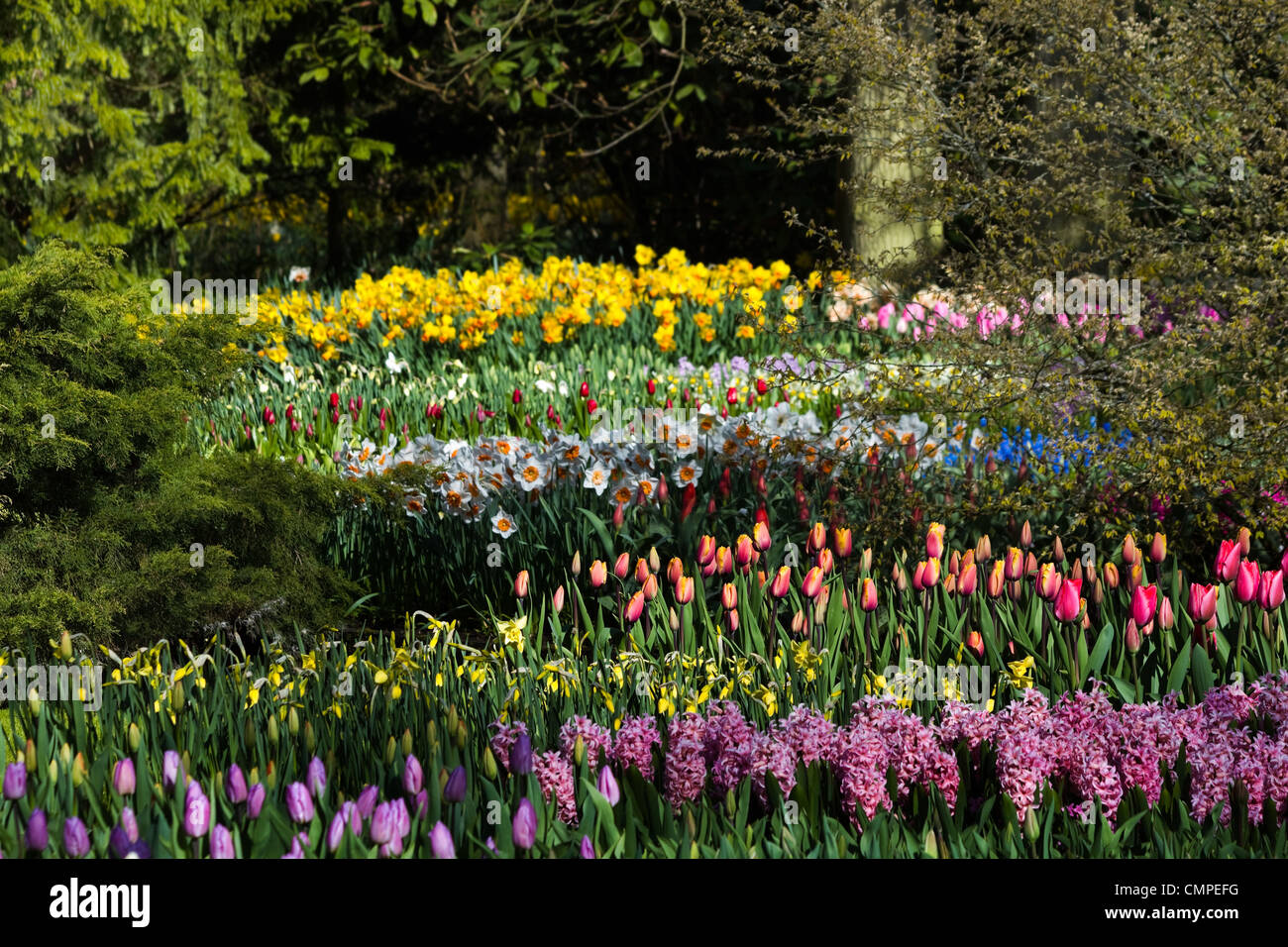 View on spring flowers in all shapes and colors in garden Stock Photo ...
