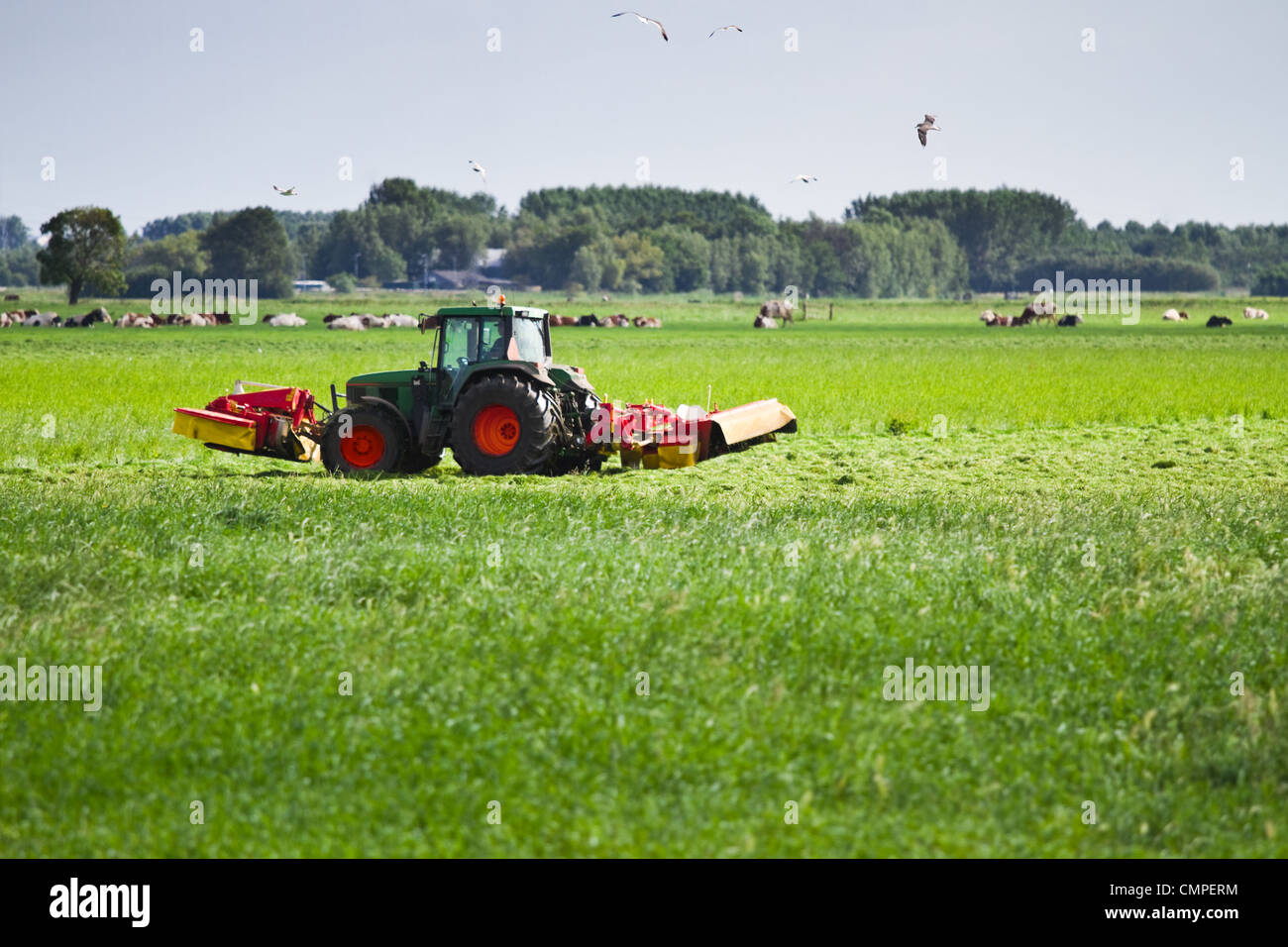 Willows Activity Farm High Resolution Stock Photography and Images - Alamy