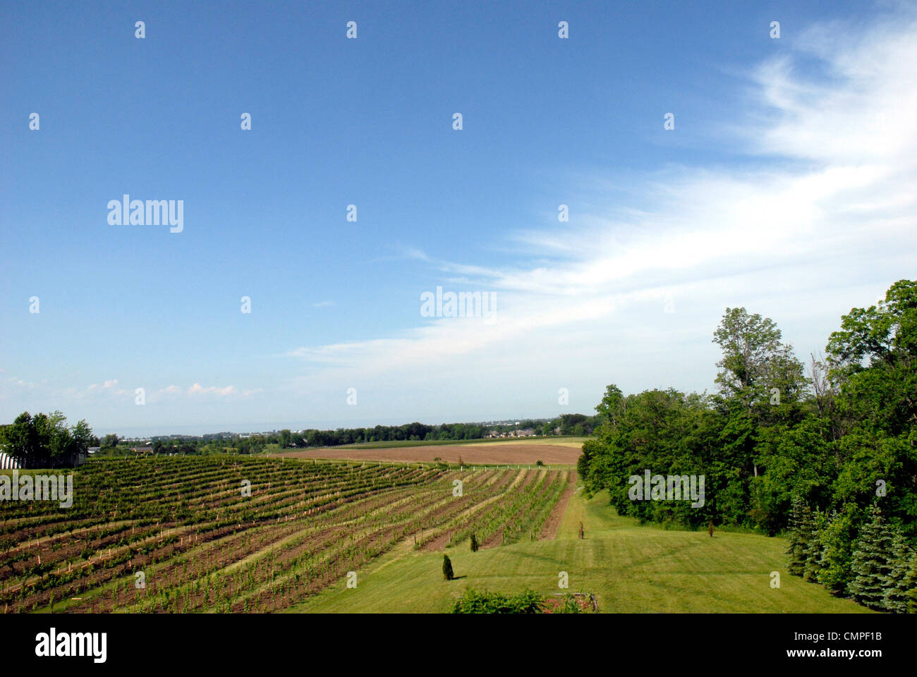 Beamsville ontario vineyard hi-res stock photography and images - Alamy