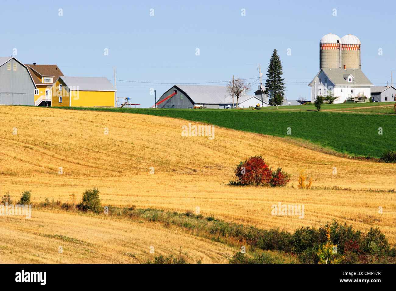 Rural Farmland, Bas-Saint-Laurent Region, Trois-Pistoles, Quebec Stock ...