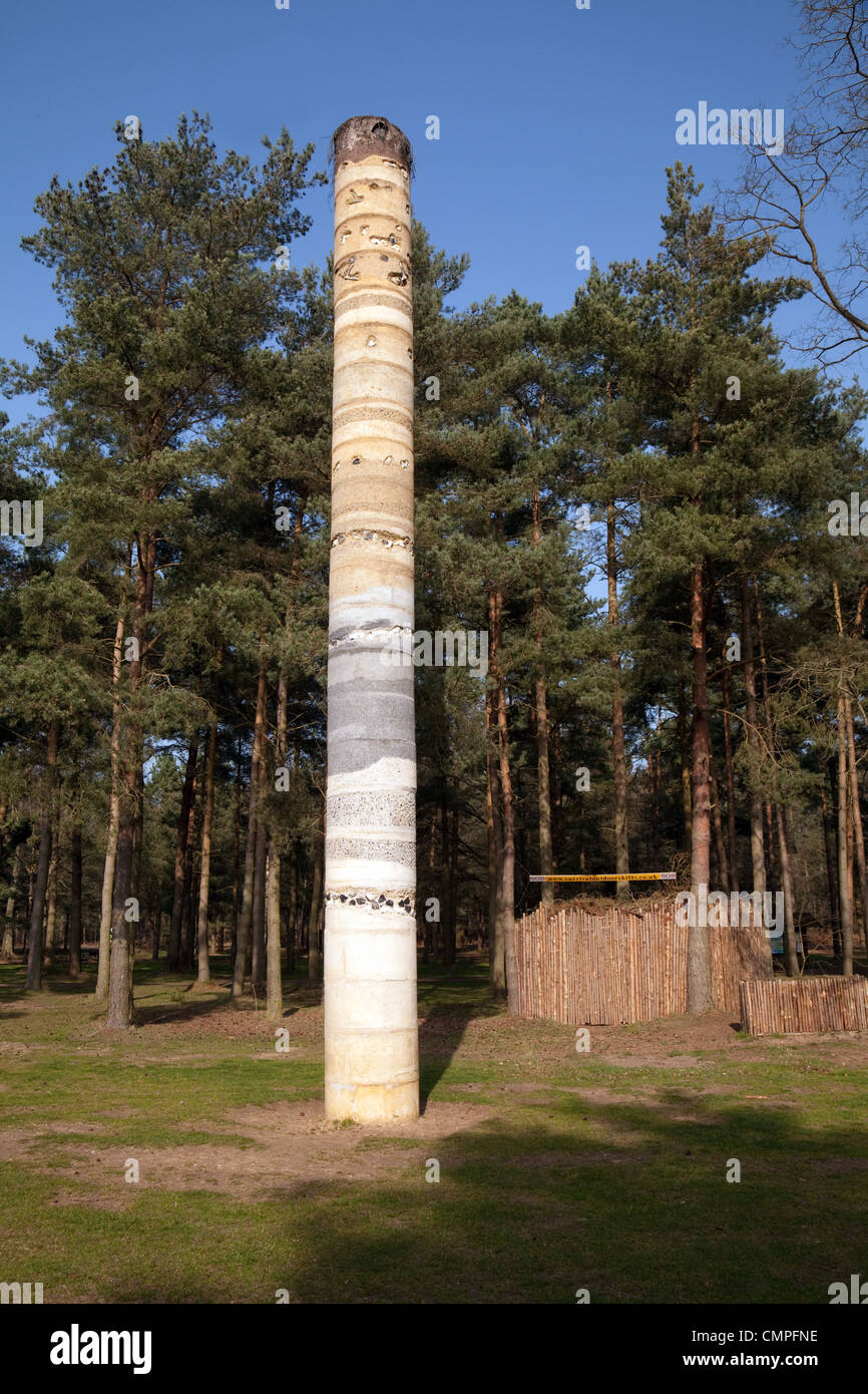 High lodge thetford forest hi-res stock photography and images - Alamy